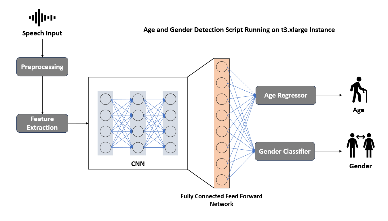 Enhancing Patient Experience with Intelligent Age and Gender Detection ...